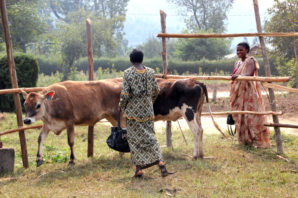 What it means to give. | Heifer 12 x 12